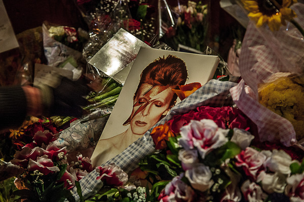 The Best Documentaries Curated Collections